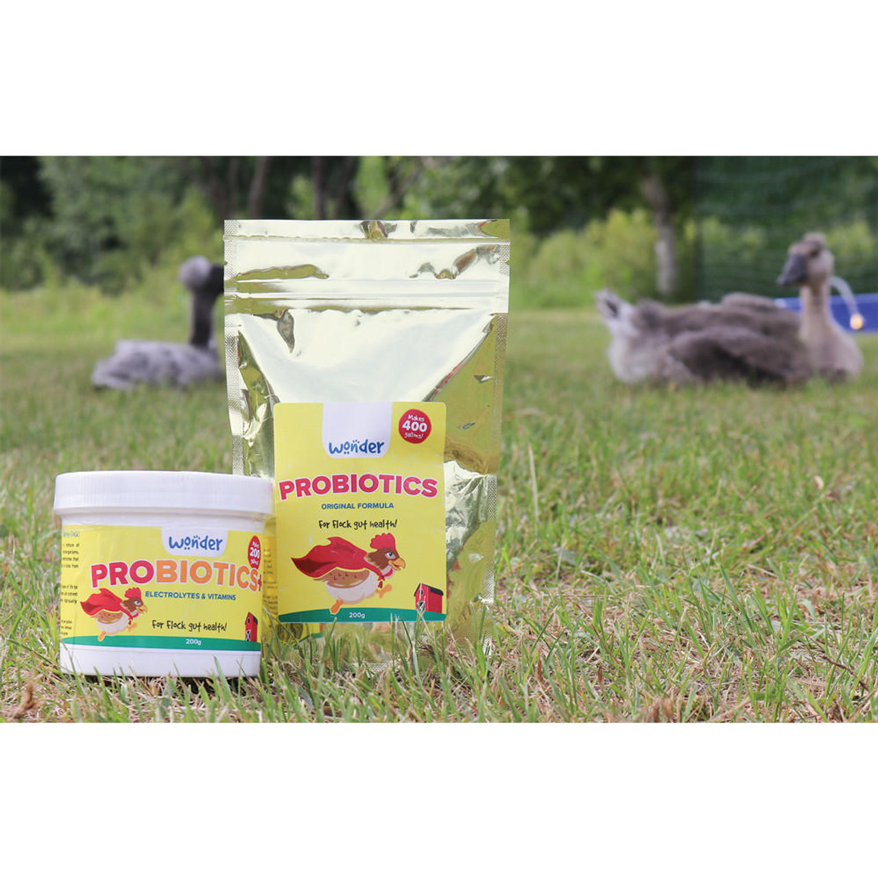 PROBIOTICS+ W/ ELECTROLYTES & VITAMINS - 200 G - Laying hens farm Ltd